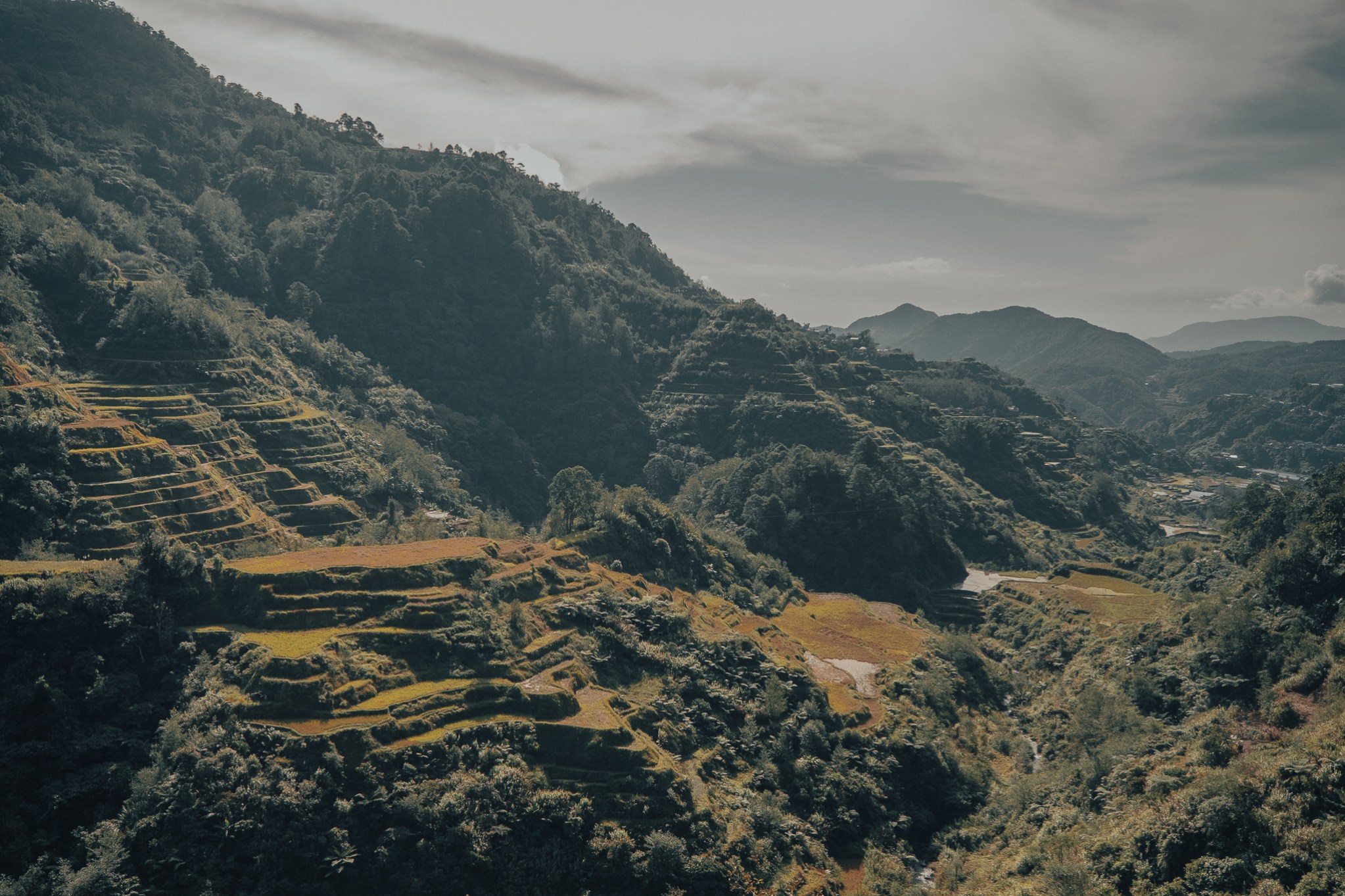 Trek de 2 jours dans les rizières de Batad et Banaue aux Philippines ...