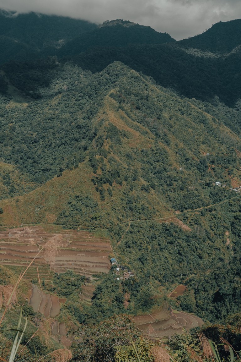 Trek de 2 jours dans les rizières de Batad et Banaue aux Philippines ...