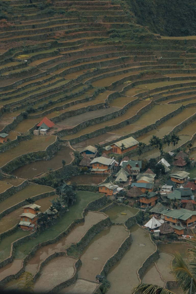 Trek de 2 jours dans les rizières de Batad et Banaue aux Philippines ...